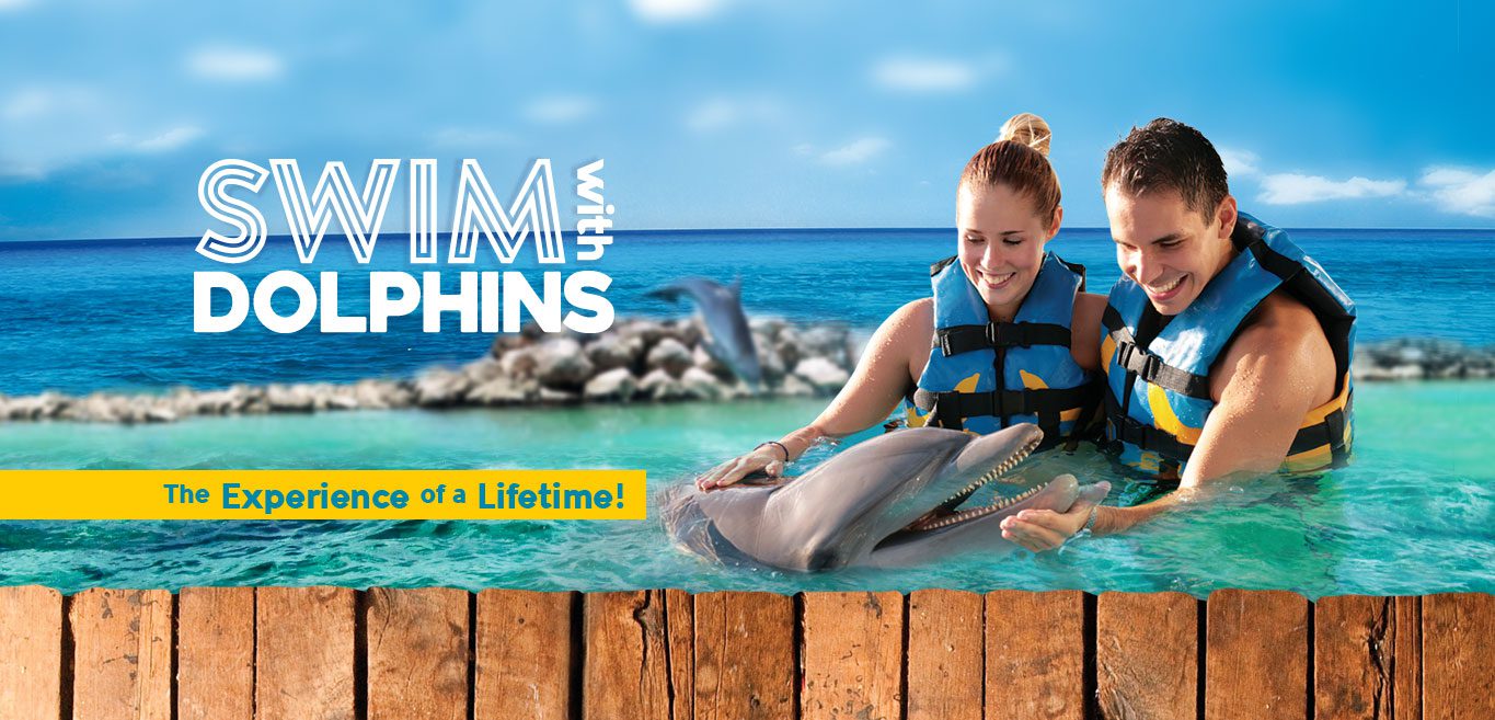 Dolphin Cove Ocho Rios (ALL INCLUSIVE) | SunLife Tours and ...